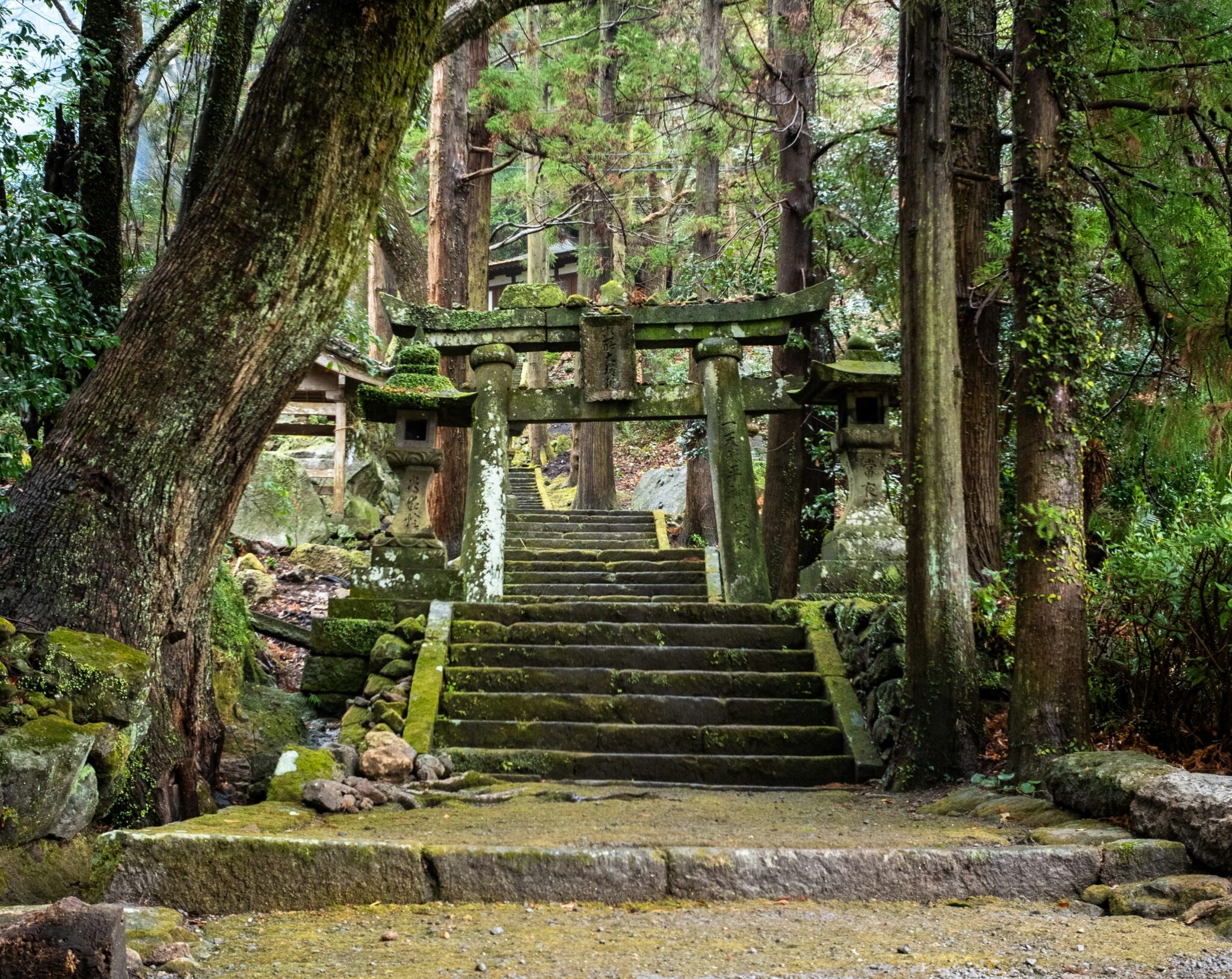 アニメファンはなぜ聖地巡礼するのか？ 物語と現実が交錯する世界【観光・地方創生の事例も紹介】 | PinTo Times