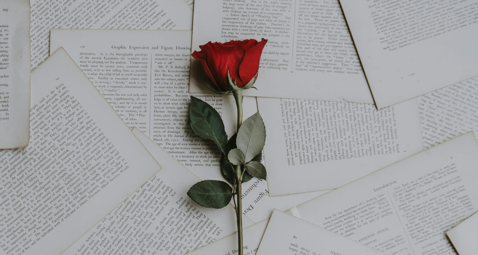 執着を手放す方法15選｜苦しいのはなぜ？心理的な原因と執着しやすい人の特徴を専門家が解説 | PinTo Times